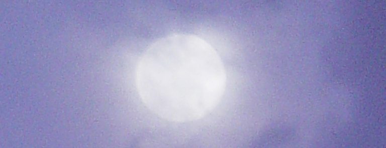 Creation - Yuquiyu Farm