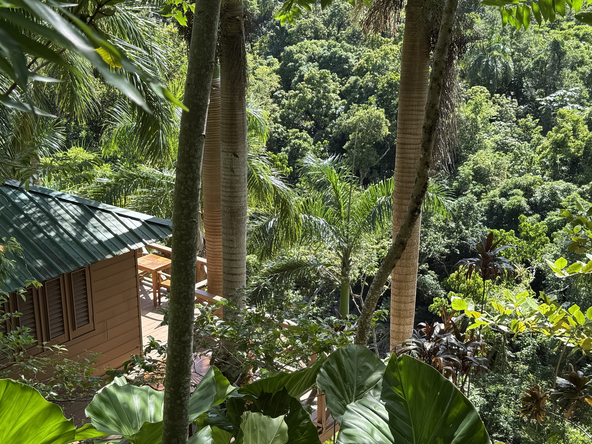 La Cascada Treehouse - Yuquiyu Farm